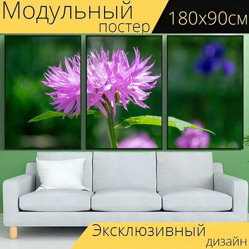 Модульный постер "Цветы, красивые, фиолетовые" 180 x 90 см. для интерьера
