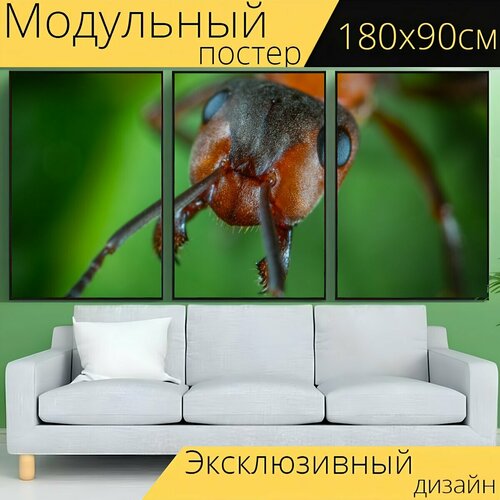 Модульный постер "Макро, насекомое, муравей" 180 x 90 см. для интерьера