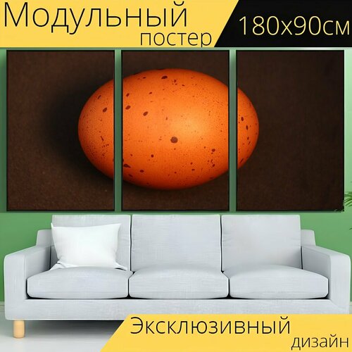 Модульный постер "Яйцо, коричневый, еда" 180 x 90 см. для интерьера