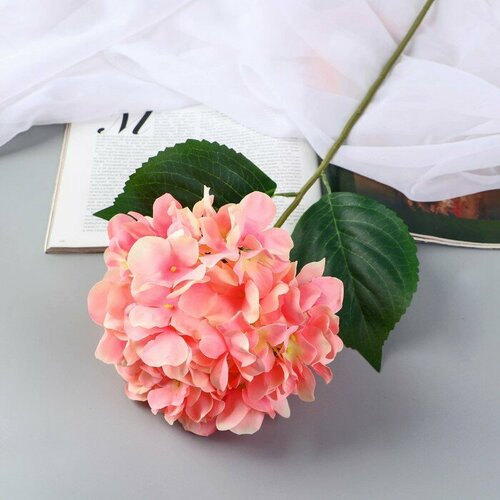 Poetry in flowers Цветы искусственные "Гортензия экстра" d-16 см 55 см, розовый