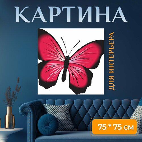 Картина на холсте "Бабочка, розовый, картинки" на подрамнике 75х75 см. для интерьера