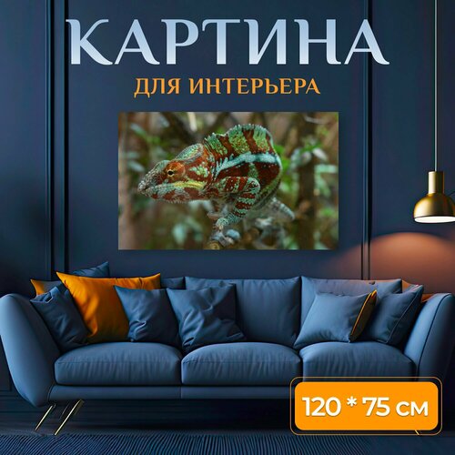 Картина на холсте "Хамелеон, зоопарк, террариум" на подрамнике 120х75 см. для интерьера
