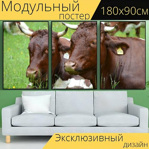 Модульный постер "Коровы, пастбище, луг" 180 x 90 см. для интерьера