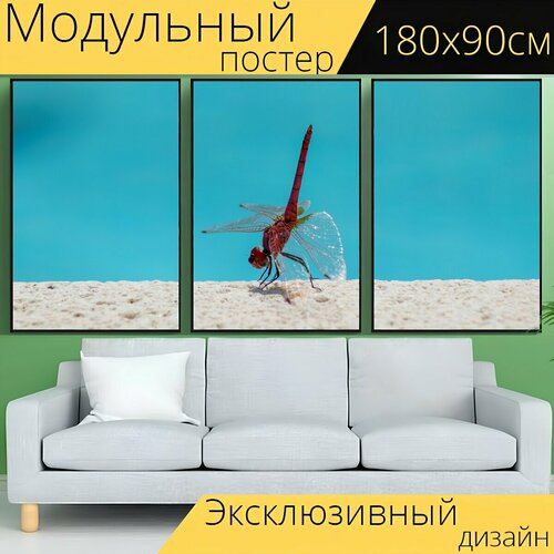 Модульный постер "Стрекоза, насекомое, энтомология" 180 x 90 см. для интерьера