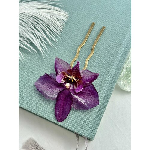 Шпилька: Орхидея Темный Фиолетовый