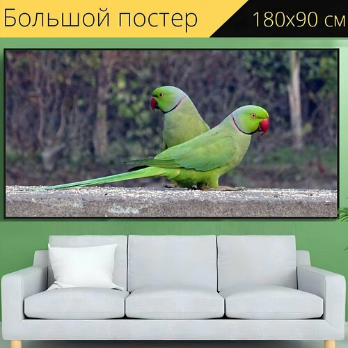 Большой постер "Птица, попугай, зеленый" 180 x 90 см. для интерьера