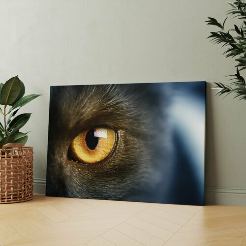 Картина на холсте (кошачий глаз макросъемка зрачок животного) 30x40 см/для интерьера/в комнату/на стену/в подарок