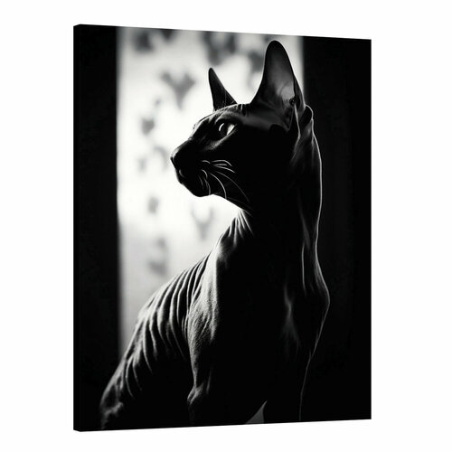 Интерьерная картина 50х70 "Кошка-сфинкс: таинственный шарм"