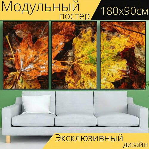 Модульный постер "Падение, листья, осенние листья" 180 x 90 см. для интерьера