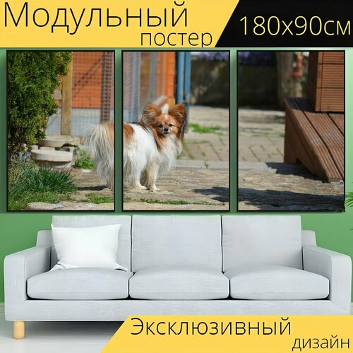 Модульный постер "Собака, покрытый сосочками, домашнее животное" 180 x 90 см. для интерьера