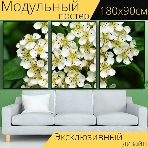 Модульный постер "Цветы, белые цветы, полевые цветы" 180 x 90 см. для интерьера