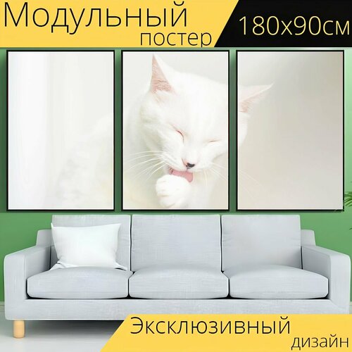 Модульный постер "Кошка, груминг, кот" 180 x 90 см. для интерьера