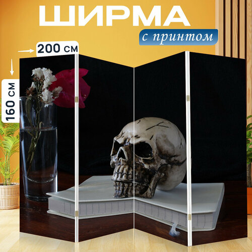 Ширма перегородка с принтом "Череп, натюрморт, представление" на холсте - 200x160 см. для зонирования, раскладная