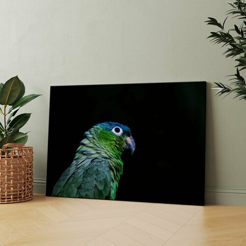 Картина на холсте (Черный попугай, зеленый попугай, темнота) 30x40 см. Интерьерная, на стену.
