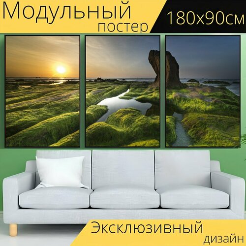 Модульный постер "Морской берег, водоросли, море" 180 x 90 см. для интерьера