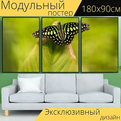 Модульный постер "Бабочка, зеленый, тропический" 180 x 90 см. для интерьера