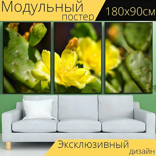 Модульный постер "Цветок, желтый, природа" 180 x 90 см. для интерьера