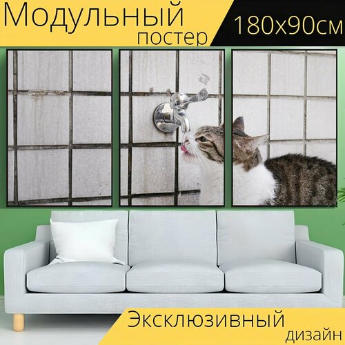 Модульный постер "Кот, пить воду, домашнее животное" 180 x 90 см. для интерьера