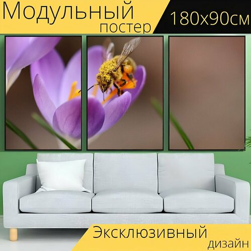 Модульный постер "Крокус, пчела, насекомое" 180 x 90 см. для интерьера
