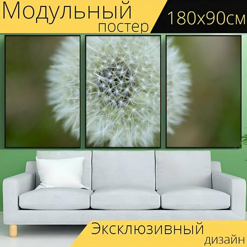 Модульный постер "Одуванчик, сорняк, весна" 180 x 90 см. для интерьера
