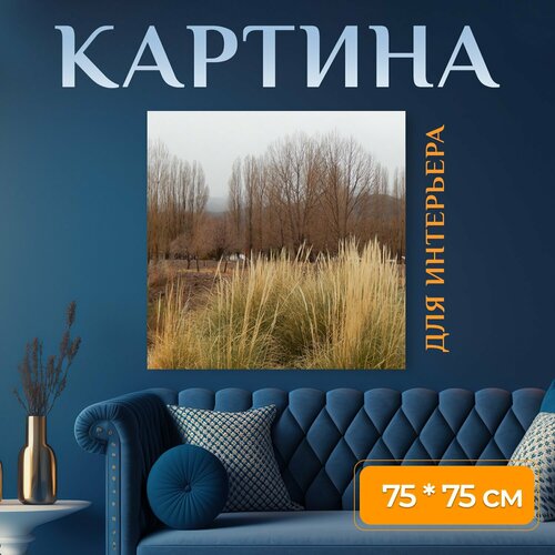 Картина на холсте "Зимний пейзаж, зима, холодный" на подрамнике 75х75 см. для интерьера