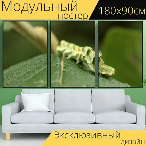 Модульный постер "Гусеница, листы, природа" 180 x 90 см. для интерьера