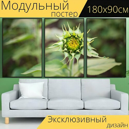 Модульный постер "Подсолнечник, цветущий, флора" 180 x 90 см. для интерьера