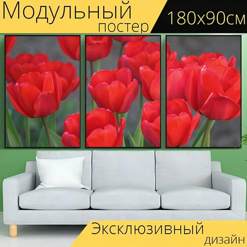 Модульный постер "Тюльпаны, монохромный, красный" 180 x 90 см. для интерьера