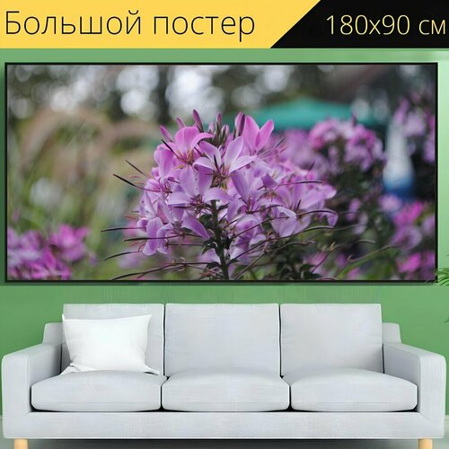 Большой постер "Цветок, фиолетовый, сад" 180 x 90 см. для интерьера