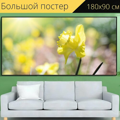 Большой постер "Нарцисс, весна, цветы желтые цветы" 180 x 90 см. для интерьера