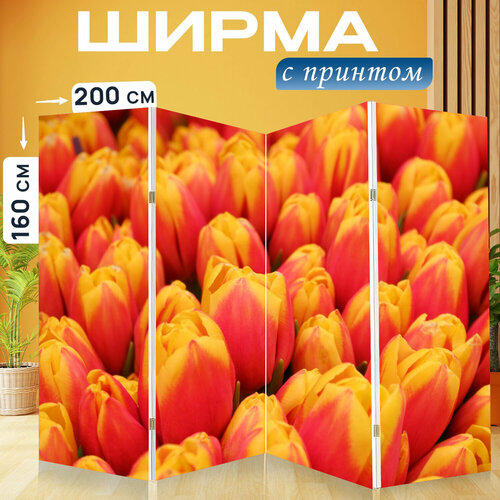 Ширма перегородка с принтом "Тюльпаны, красные, жёлтые" на холсте - 200x160 см. для зонирования, раскладная