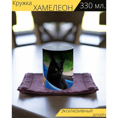 Кружка хамелеон с принтом "Кошка, кошки, фотографии кошек" 330 мл.