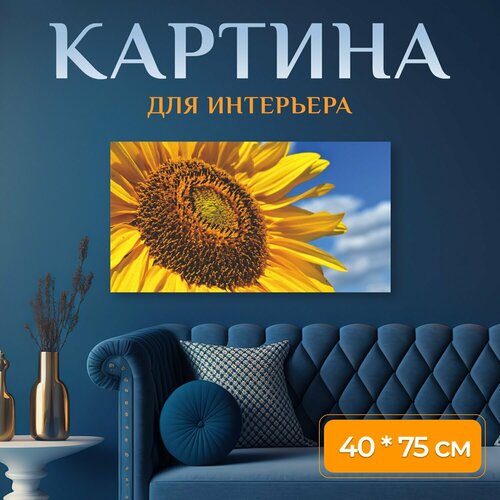 Картина на холсте "Подсолнух, летом, яркий" на подрамнике 75х40 см. для интерьера