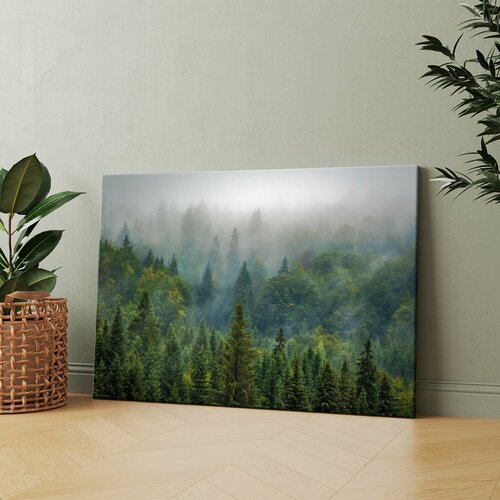 Картина на холсте (Туман в лесу) 50x70 см. Интерьерная, на стену.