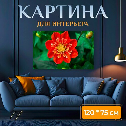 Картина на холсте "Цветок, апельсин, оранжевый цветок" на подрамнике 120х75 см. для интерьера