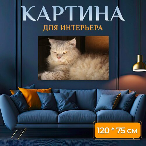 Картина на холсте "Кошка, домашний питомец, животное" на подрамнике 120х75 см. для интерьера
