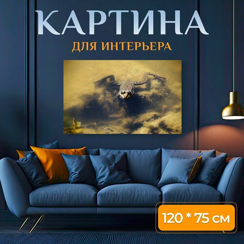 Картина на холсте "Лягушка, вода, пруд" на подрамнике 120х75 см. для интерьера