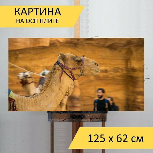 Картина на ОСП 125х62 см. "Петра, верблюд, иордания" горизонтальная, для интерьера, с креплениями