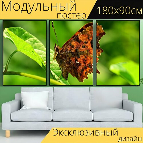 Модульный постер "Бабочка, насекомое, животное" 180 x 90 см. для интерьера