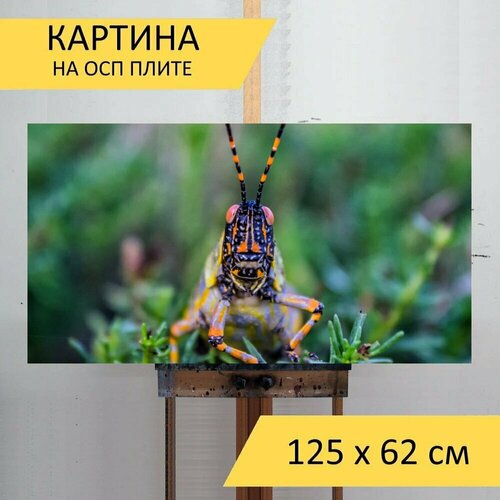 Картина на ОСП 125х62 см. "Кузнечик, природа, насекомое" горизонтальная, для интерьера, с креплениями