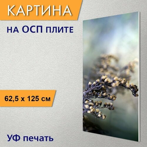 Вертикальная картина на ОСП "Семена, завод, веточка" 62x125 см. для интерьериа