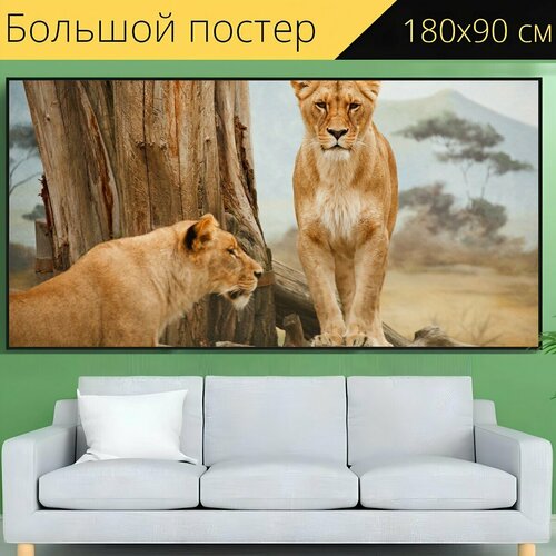 Большой постер "Львы, животные, зоопарк" 180 x 90 см. для интерьера
