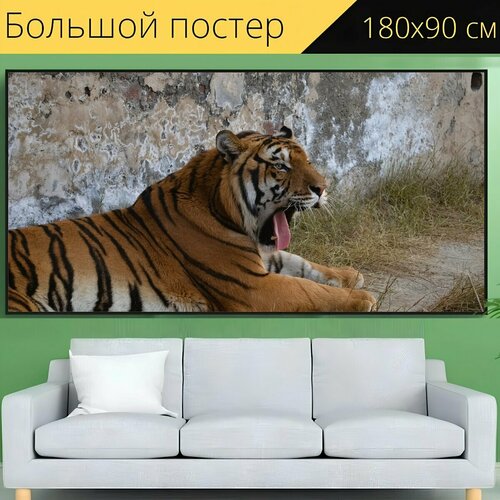 Большой постер "Тигр, дикая природа, животное" 180 x 90 см. для интерьера