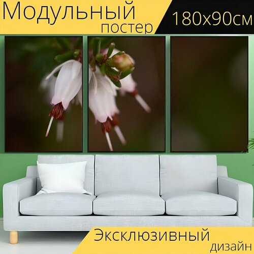 Модульный постер "Белый, цветы, весна" 180 x 90 см. для интерьера