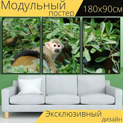 Модульный постер "Белка обезьяна, обезьяна, млекопитающее" 180 x 90 см. для интерьера