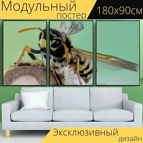 Модульный постер "Насекомое, пчела, макрос" 180 x 90 см. для интерьера