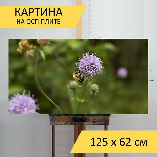 Картина на ОСП 125х62 см. "Шмель, цветок, насекомое" горизонтальная, для интерьера, с креплениями