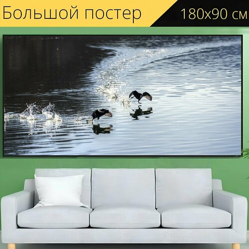 Большой постер "Птицы, вода, озеро" 180 x 90 см. для интерьера