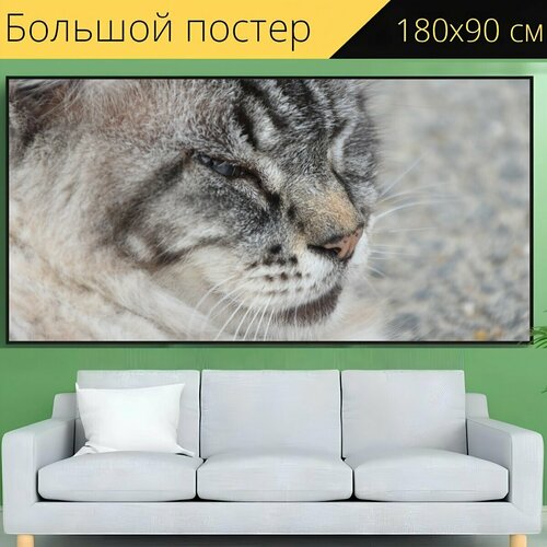 Большой постер "Котенок, глаза, кошка" 180 x 90 см. для интерьера