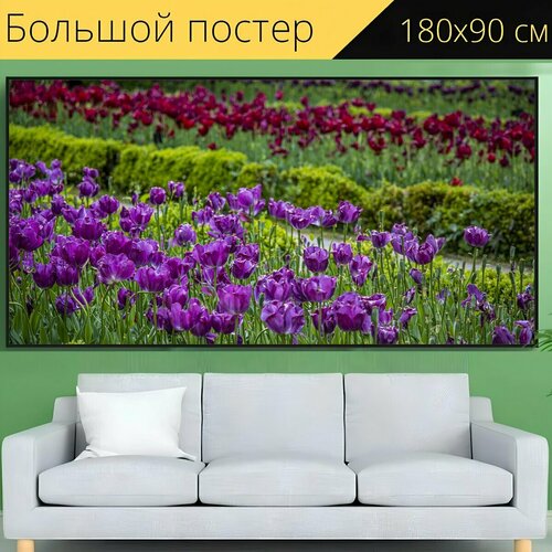 Большой постер "Тюльпаны, цветы, поле" 180 x 90 см. для интерьера